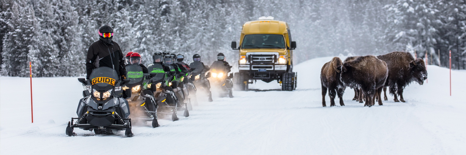 Guided Tours - Destination Yellowstone