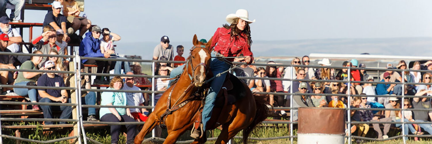 Rodeo - Destination Yellowstone