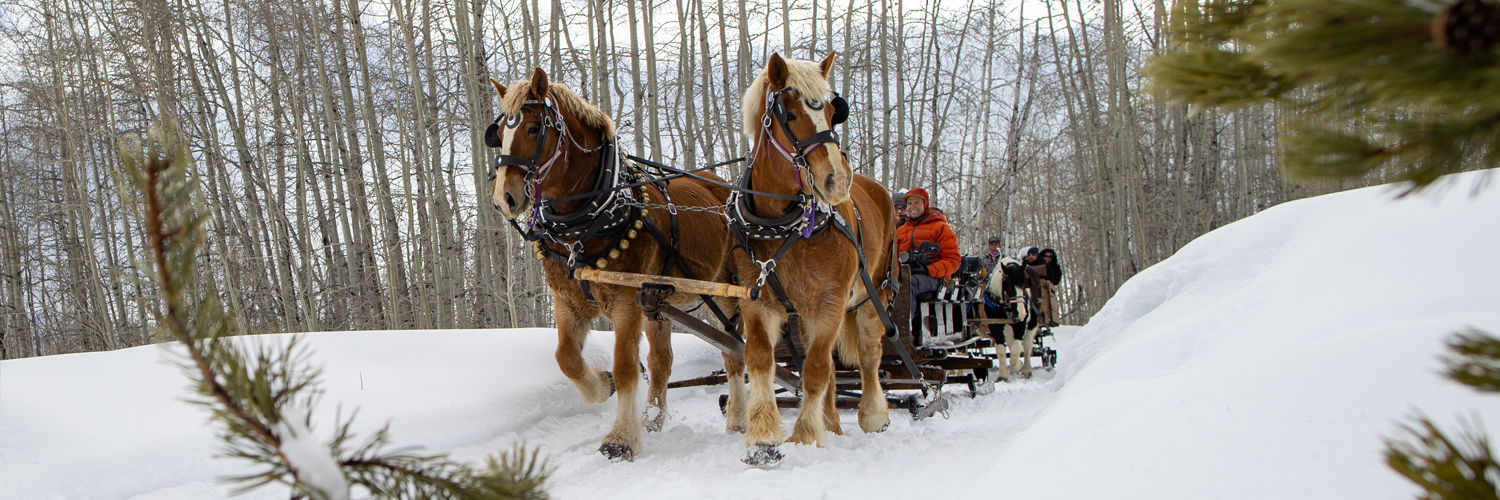 Sleigh Rides - Destination Yellowstone